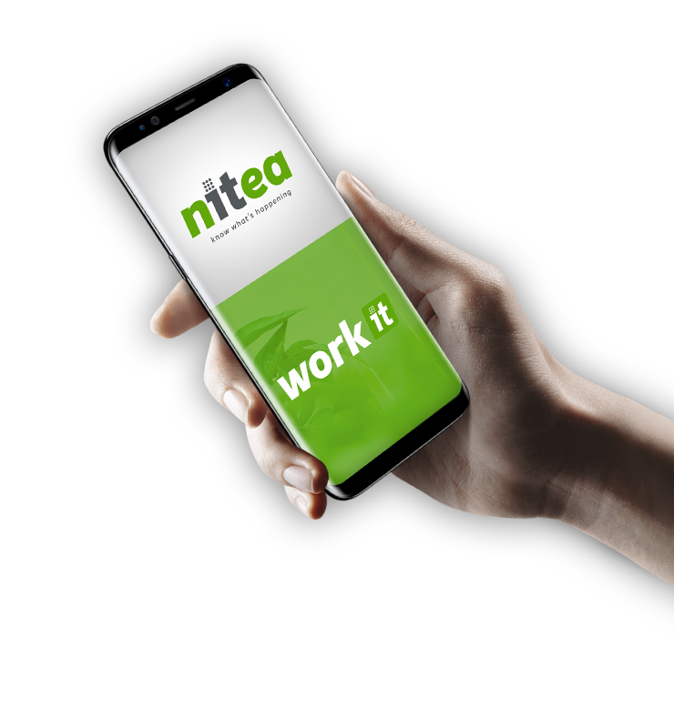 About Nitea IT Soluctions - Nitea IT Solutions B.V.