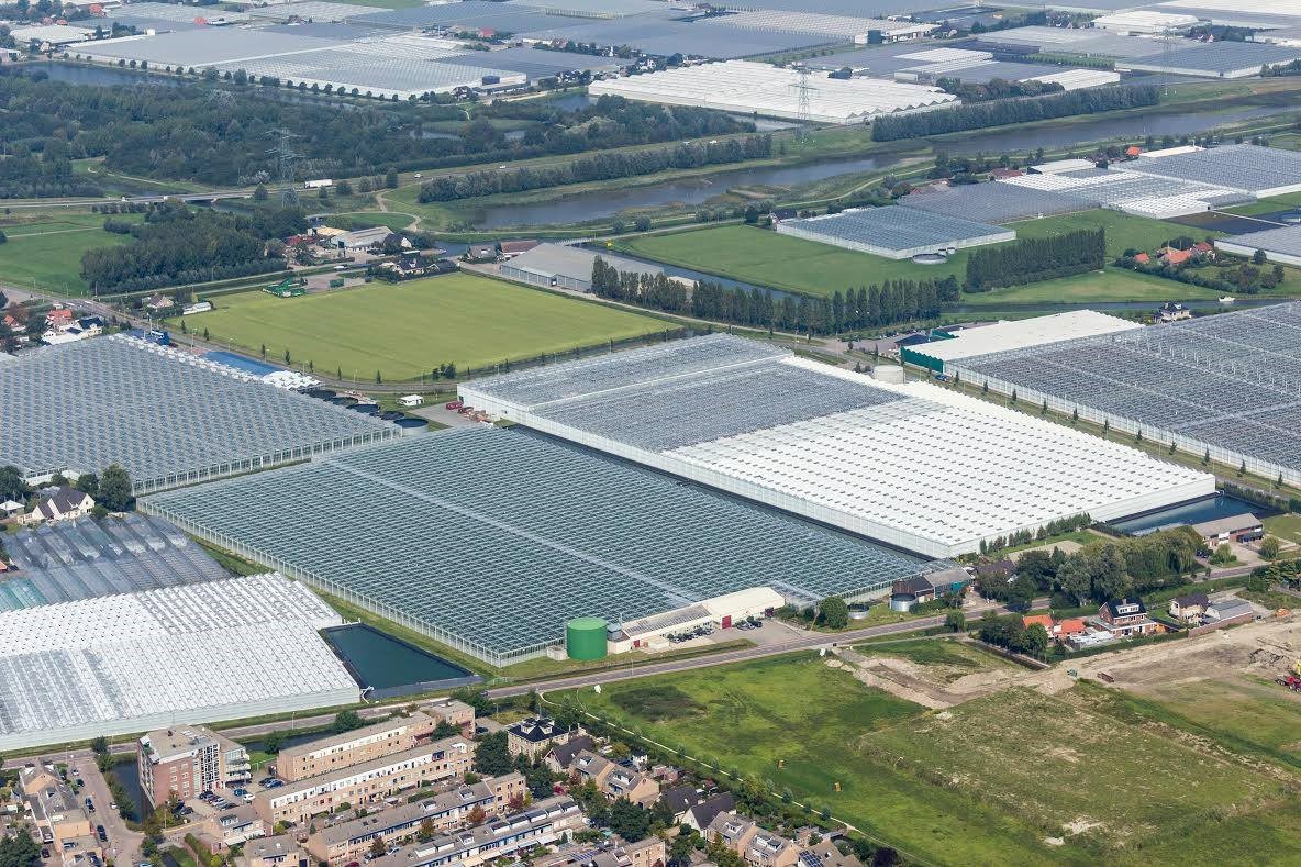 The latest developments | Nitea IT Solutions - Nitea IT Solutions B.V.